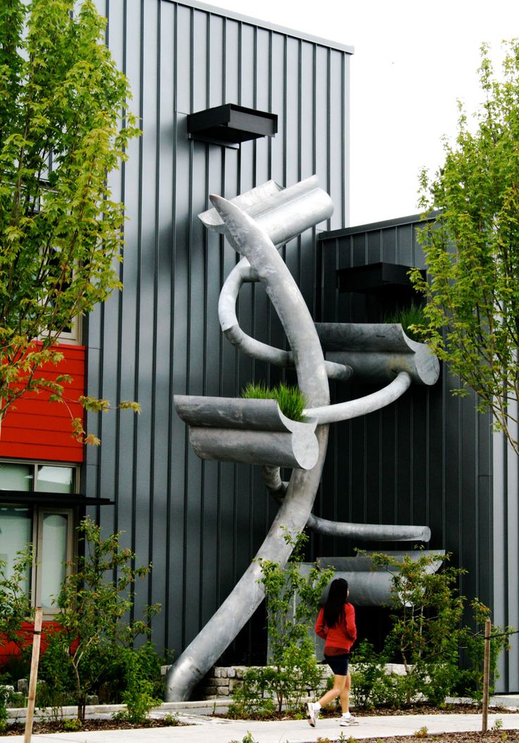 How to Choose the Right Rainwater Collector for Your Home – RainBloom