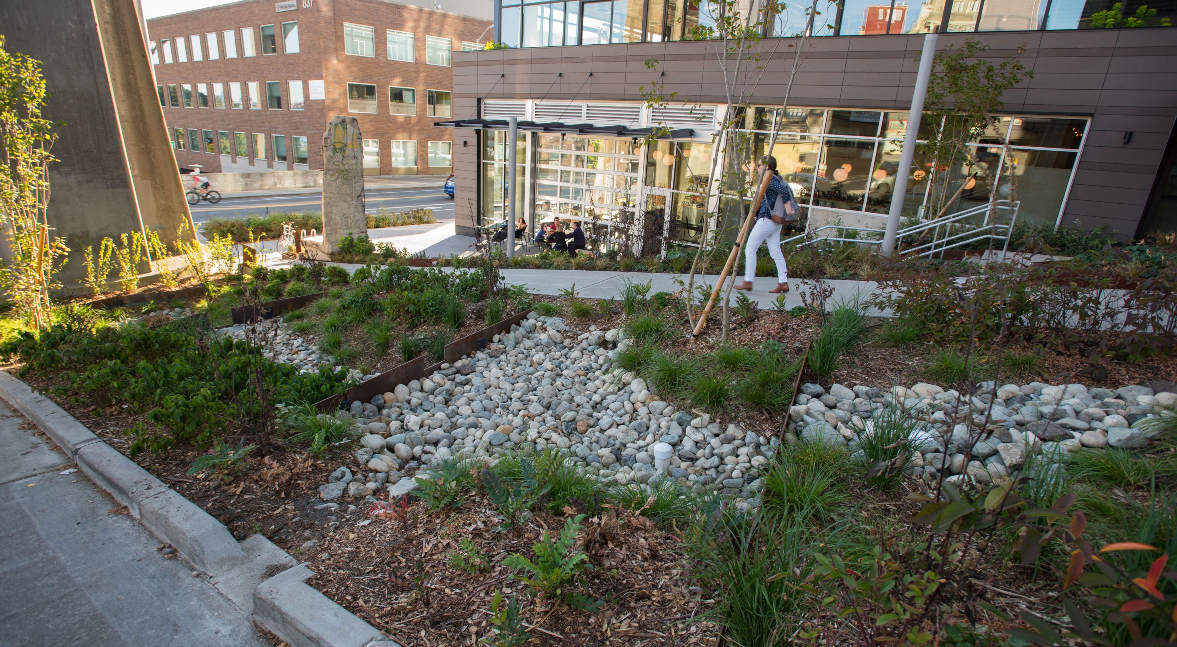 The Benefits of Rainwater Harvesting for Urban Gardening – RainBloom
